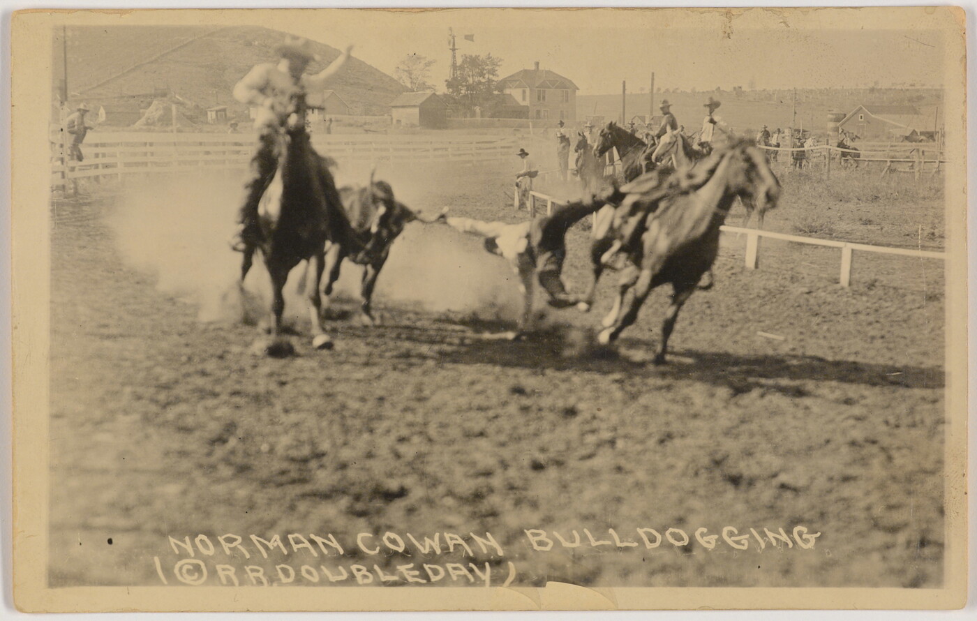 Norman Cowan Bulldogging | Amon Carter Museum of American Art