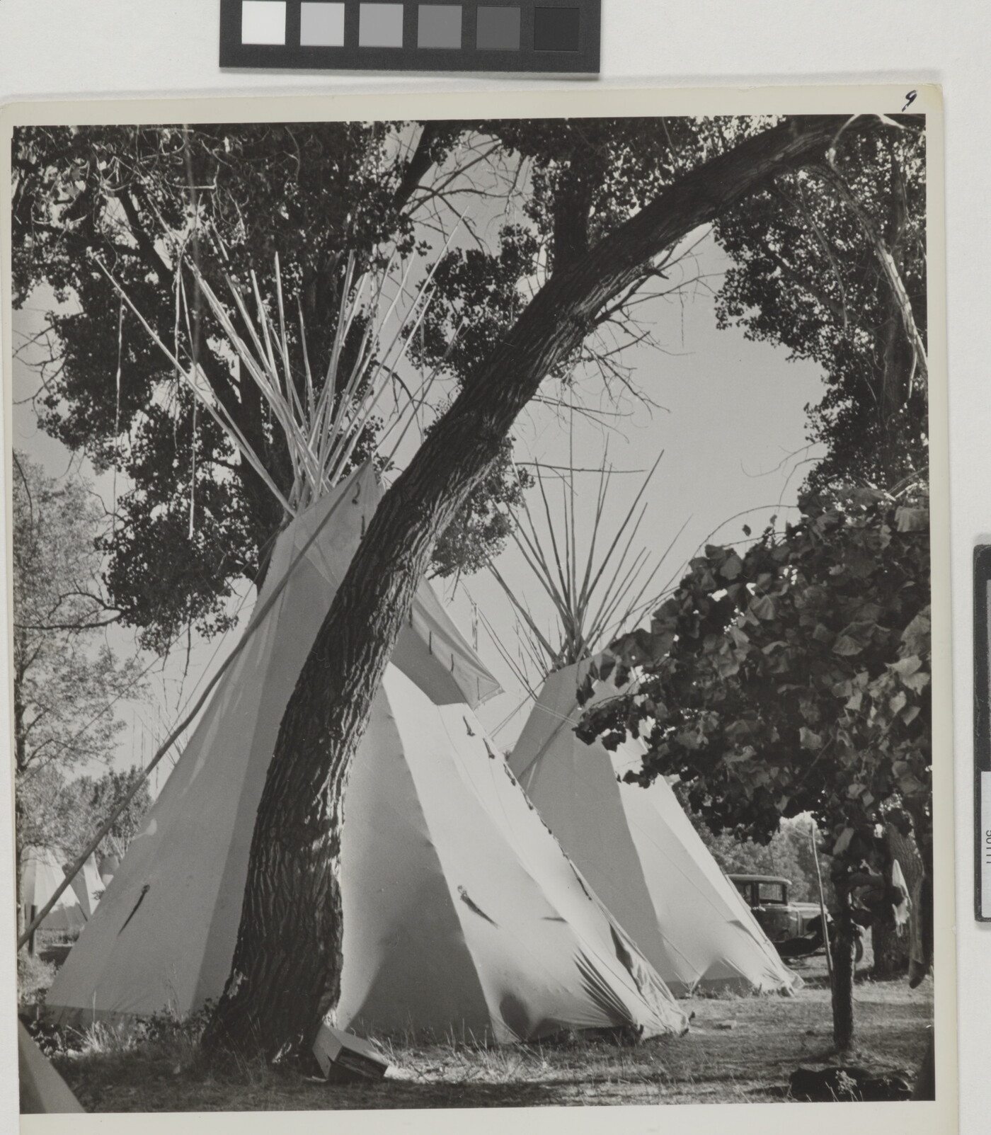 [Crow tribe tipi, Montana] | Amon Carter Museum of American Art