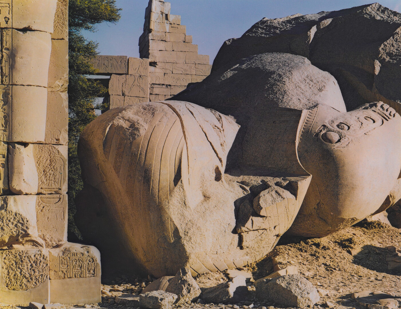 Head of Fallen Colossus of Ramesses, the Ramesseum, West Thebes, Egypt ...