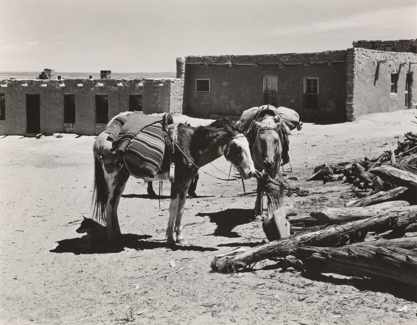 Hotevilla Indian Village, Arizona, May 1940 | Amon Carter Museum of ...
