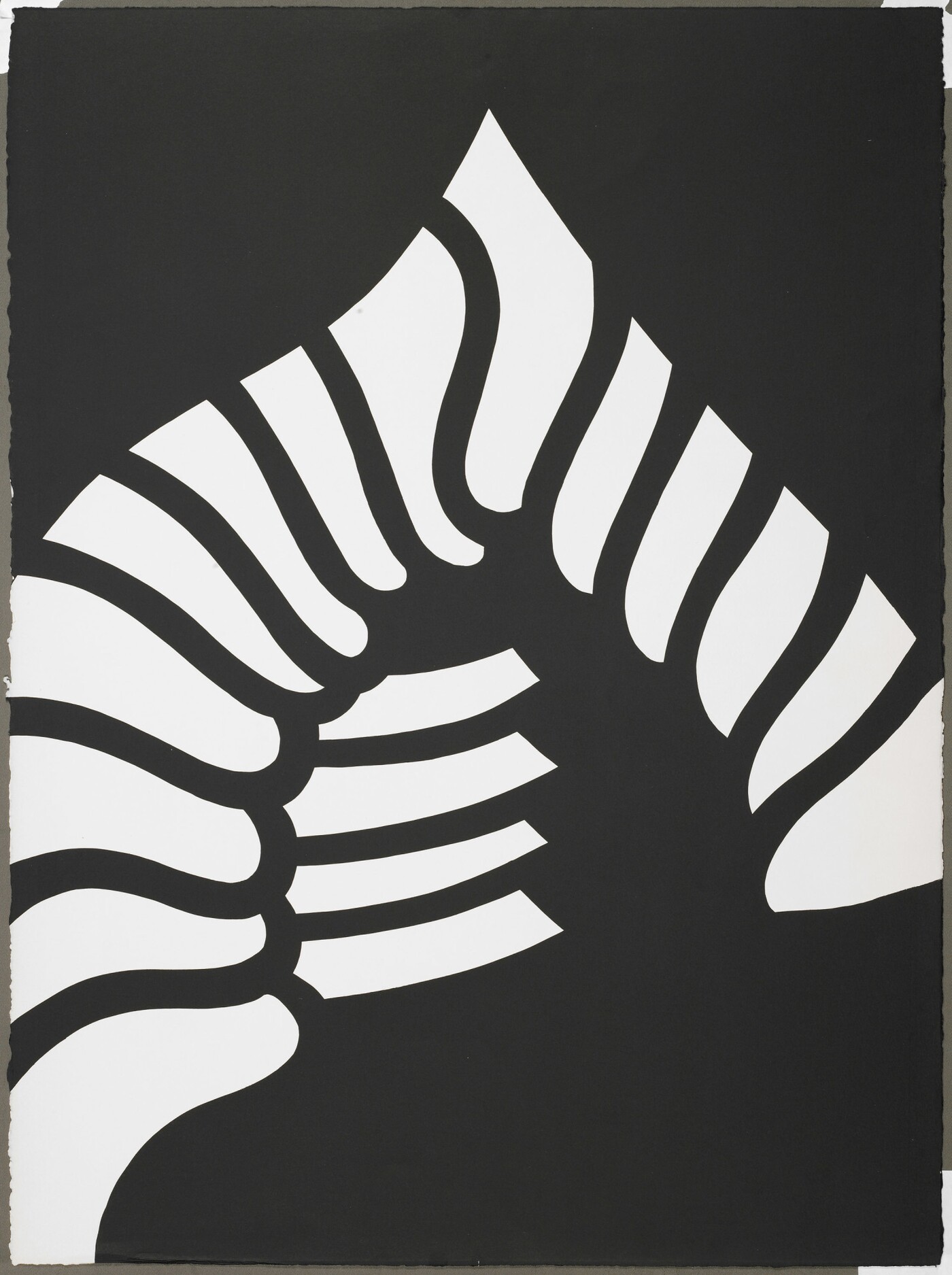 Untitled | Amon Carter Museum of American Art