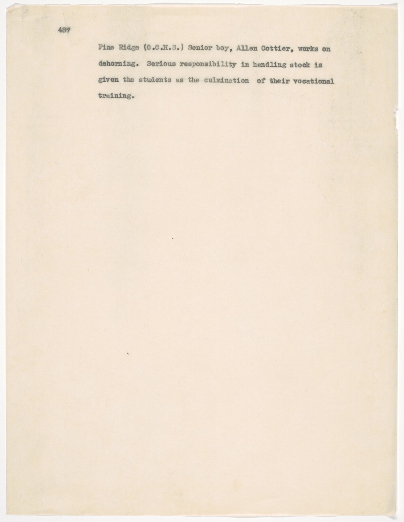 487 Pine Ridge (C.C.H.S.) Senior boy, Allan Cottier, works on dehorning ...