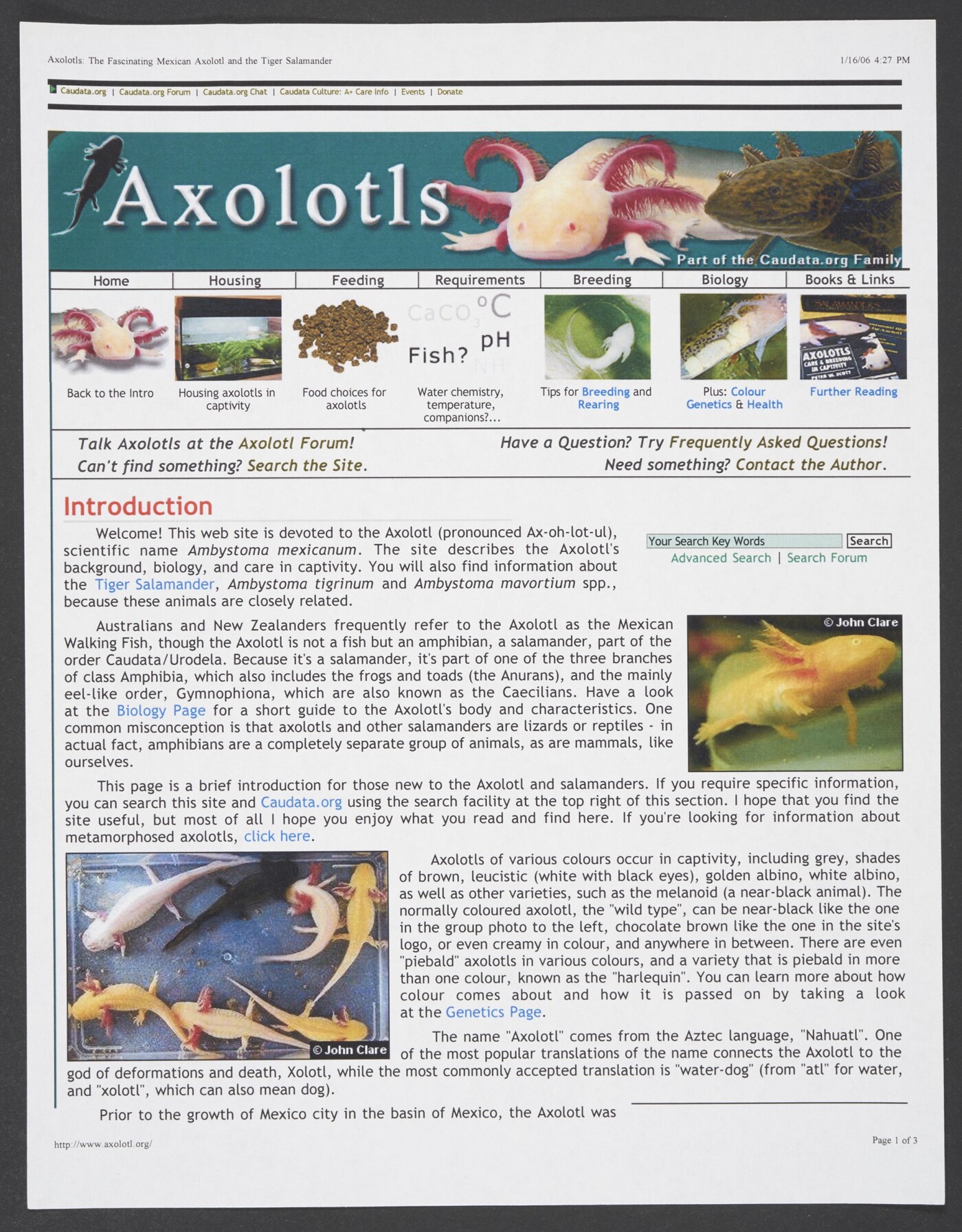 "Axolotls: The Fascinating Mexican Axolotl and the Tiger Salamander" by John P. Clare. n.d ...