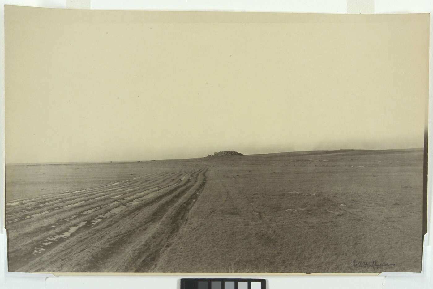 Wagon Ruts in Prairie | Amon Carter Museum of American Art