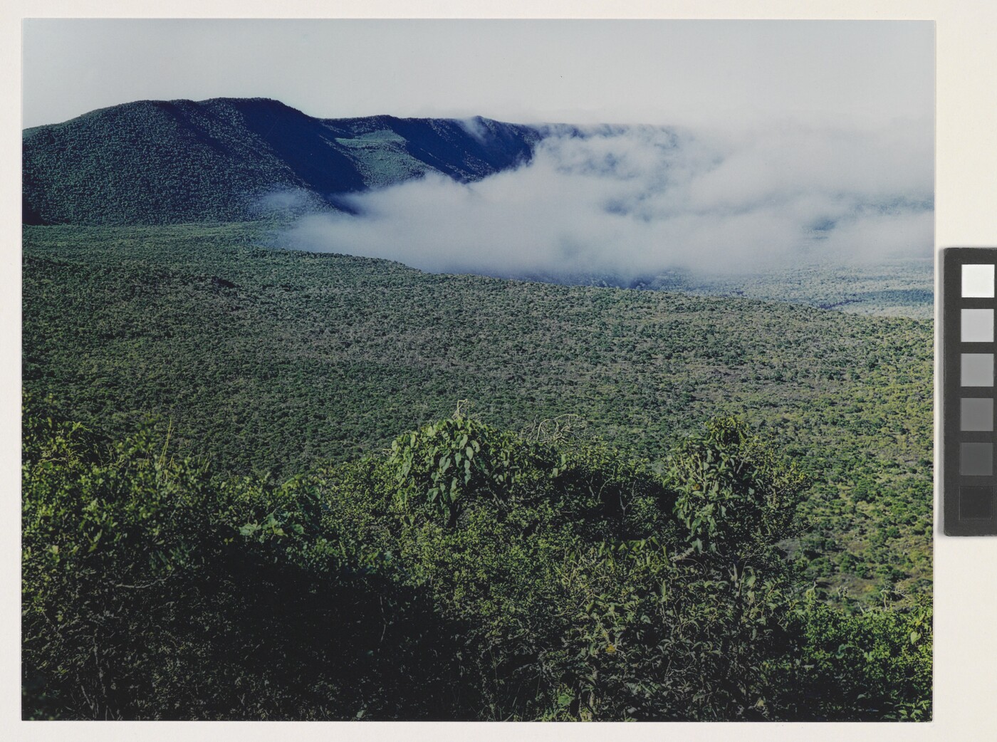 Crater with Clouds Drifting over Alcedo Volcano, Isabela Island ...