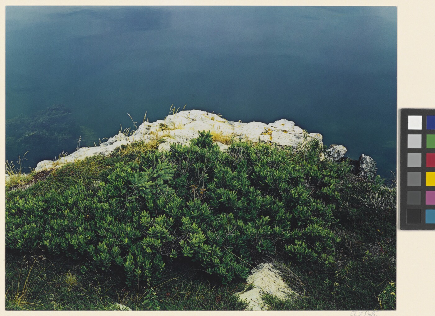 White Rocks at North Point, Great Spruce Head Island, Maine, July 24 ...