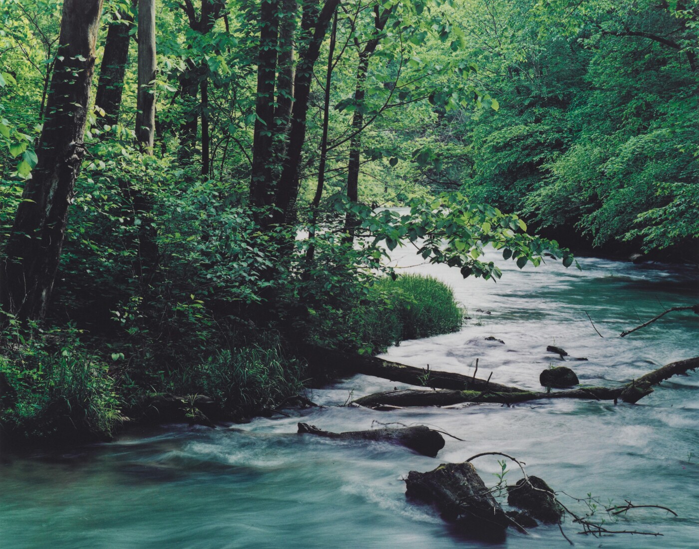Spring Creek at Greer Springs, Missouri, May 21, 1978 | Amon Carter ...