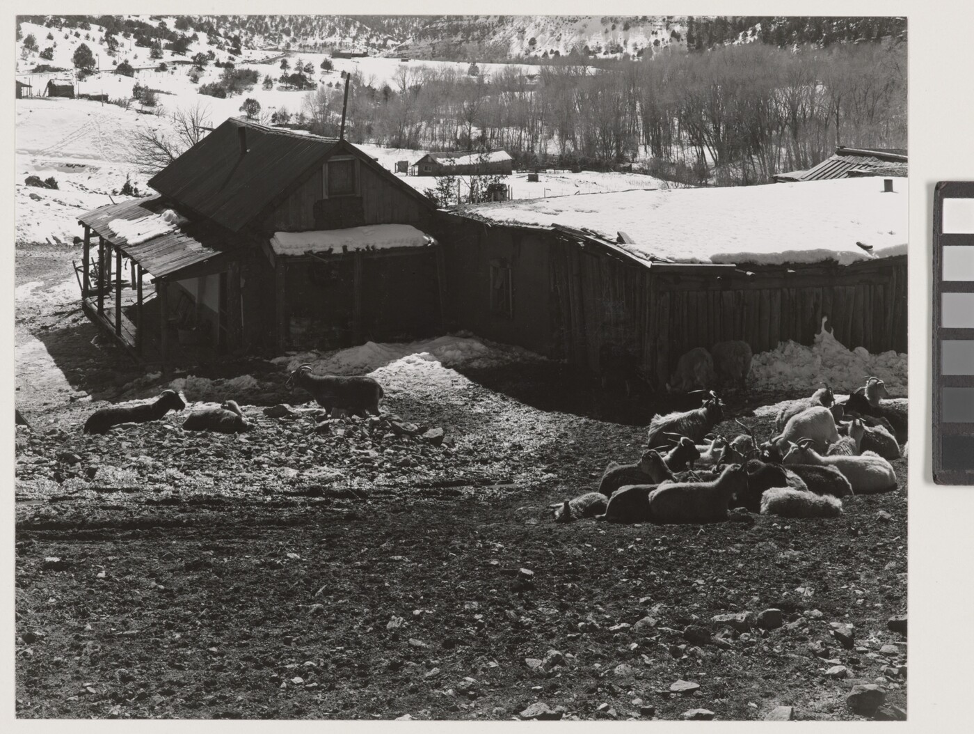 Ranch on Pecos River, New Mexico, February 11, 1940 | Amon Carter ...
