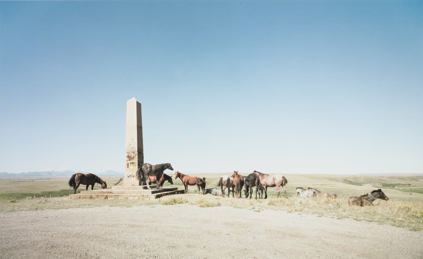 Horses at the Camp Disappointment Monument on the Blackfoot Reservation ...