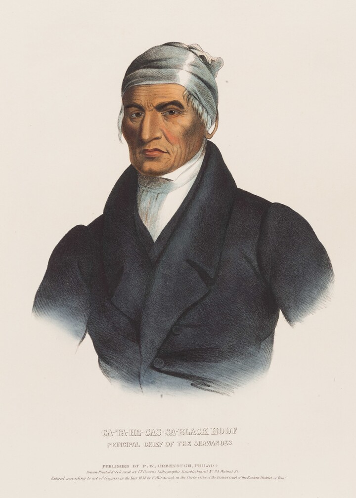 Billy-Bowlegs, a Seminole Chief | Amon Carter Museum of American Art