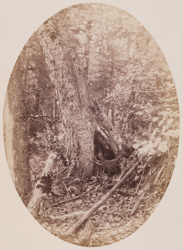 William James Stillman | Amon Carter Museum of American Art