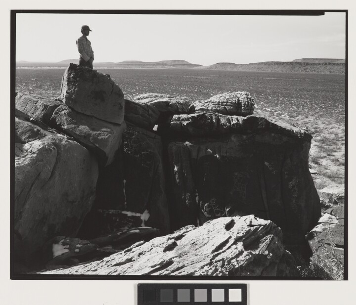 Rick Dingus | Amon Carter Museum of American Art