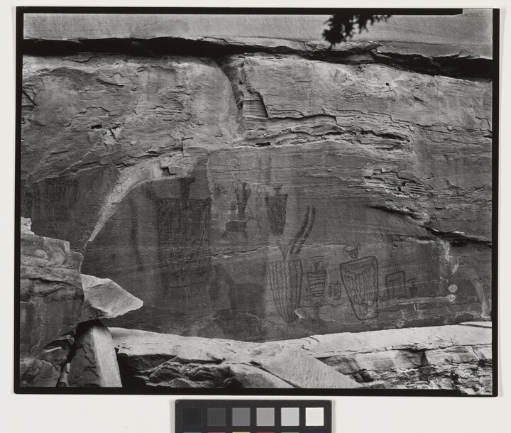 Rick Dingus | Amon Carter Museum of American Art